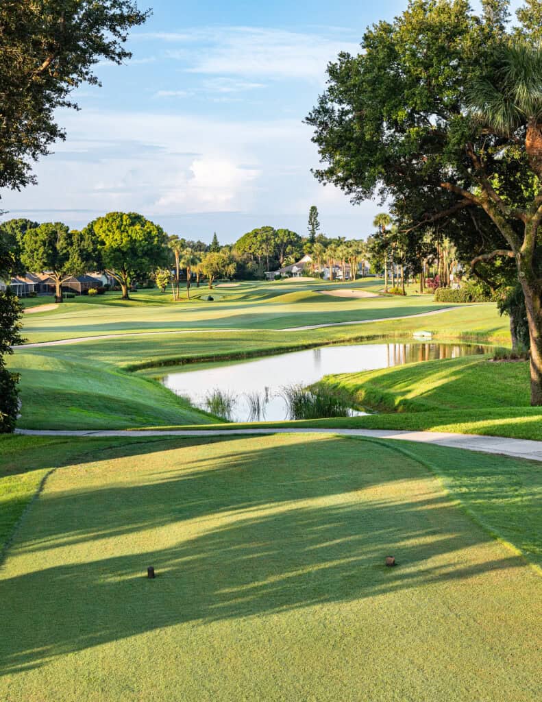 Meet Michelle Suarez–Our Newest Board Member - Villages at Country Creek